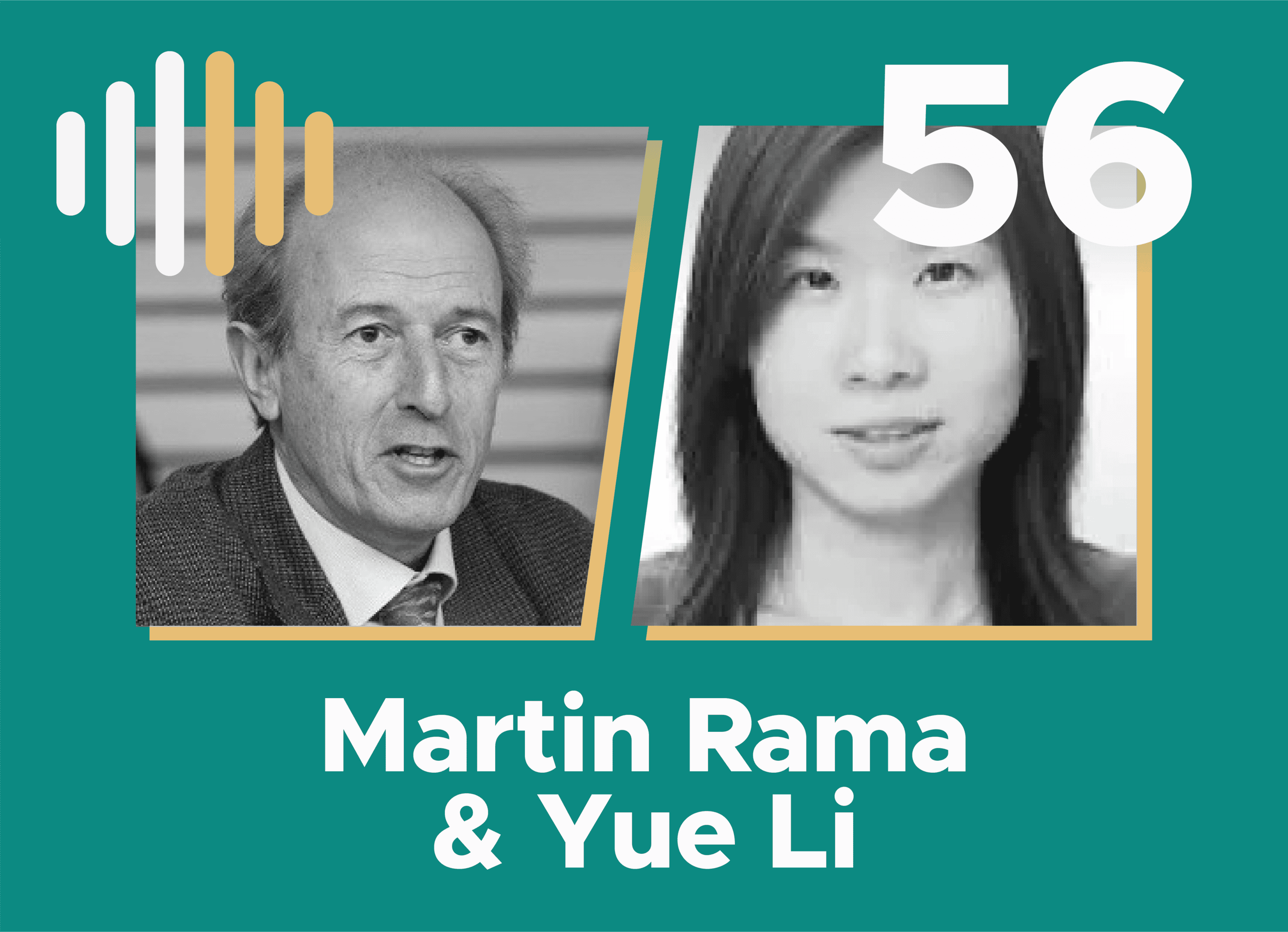 Podcast Episode 56: Martin Rama and Yue Li on Private Cities