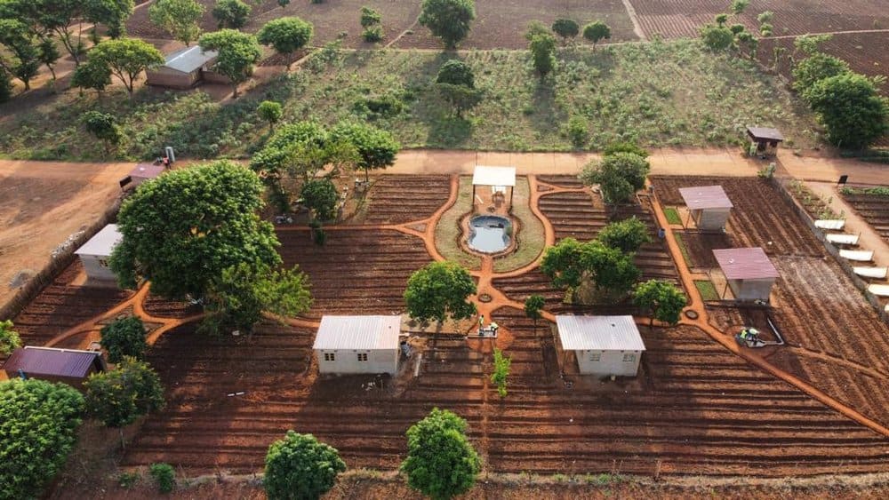 Small Farm Cities Africa - The Future of Development