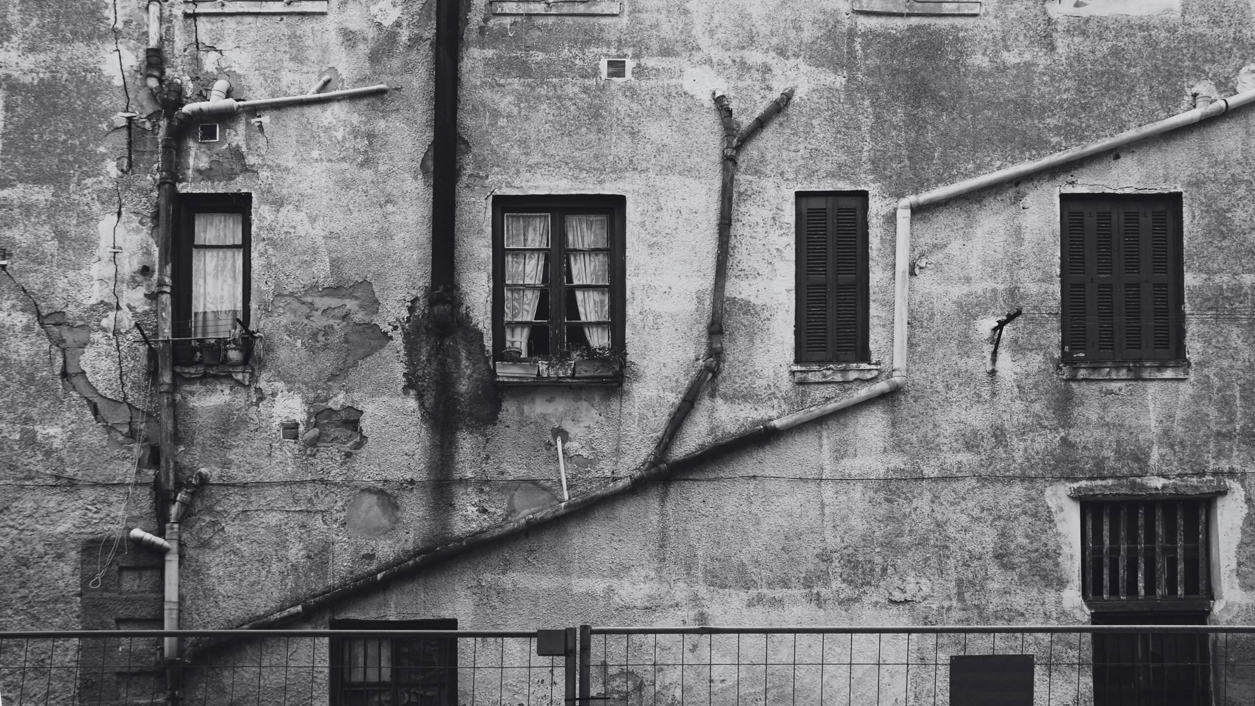 A Book Review: How Shuggie Bain (aged 6) makes us query Professor Ed ...